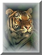 Hatley High School - Class of 2022