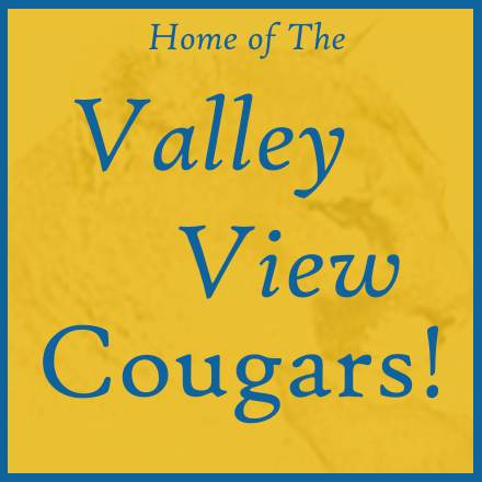 Valley View High School - Class of 1979