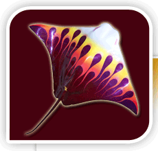 Ivanna Eudora Kean High School - Class of 1992